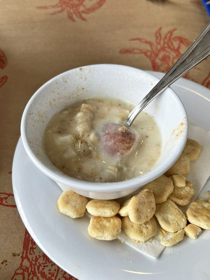 A bowl of creamy seafood chowder surrounded by oyster crackers &ndash; comfort food that somehow manages to taste like both grandma's kitchen and the open sea.