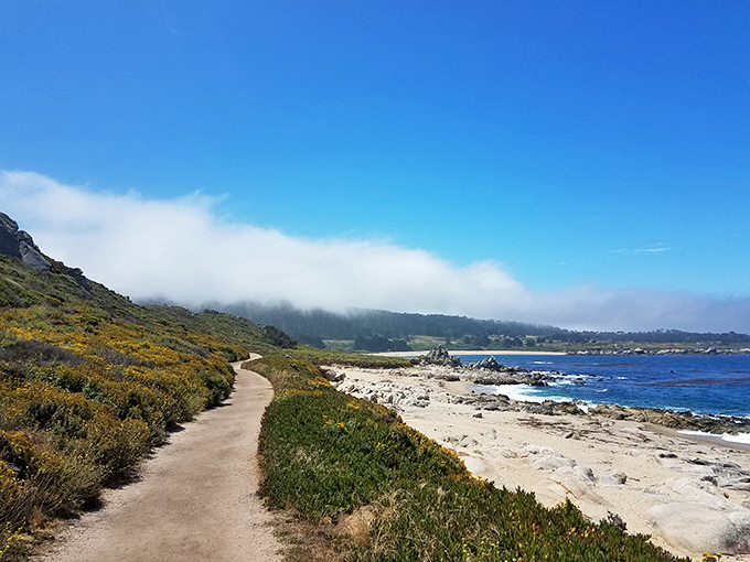 Mother Nature's finest walking path &ndash; where coastal wildflowers and crashing waves compete for your attention with every step.