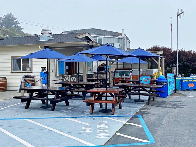 Blue umbrellas and picnic tables create the perfect casual dining atmosphere. No white tablecloths needed when you've got harbor views and fresh air.