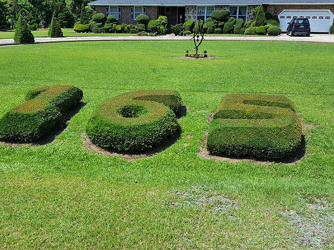 When plants spell it out for you! These perfectly trimmed shrubs form numbers that look like they've jumped straight from a green-thumbed mathematician's dream.