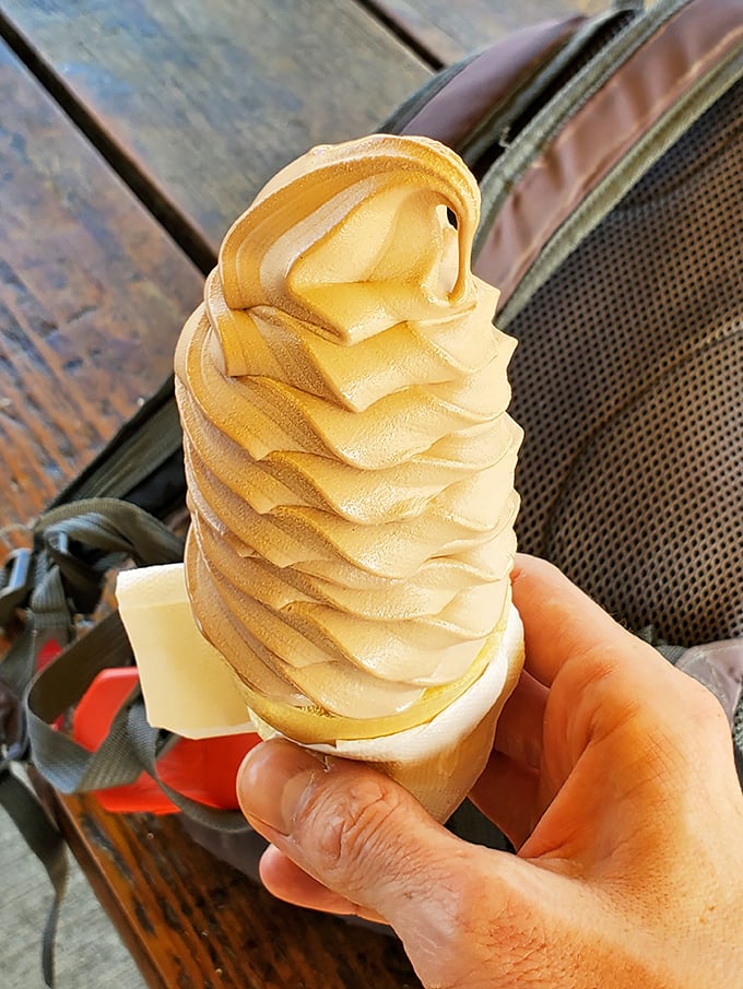 The soft serve swirl&mdash;a simple pleasure that brings out the kid in everyone. In a world of complicated desserts, this timeless treat remains undefeated.