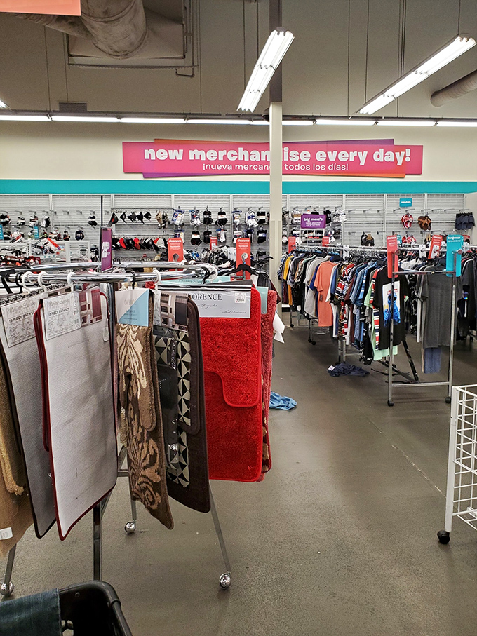 The "new merchandise every day" sign isn't just marketing&mdash;it's a promise that keeps treasure hunters coming back regularly.