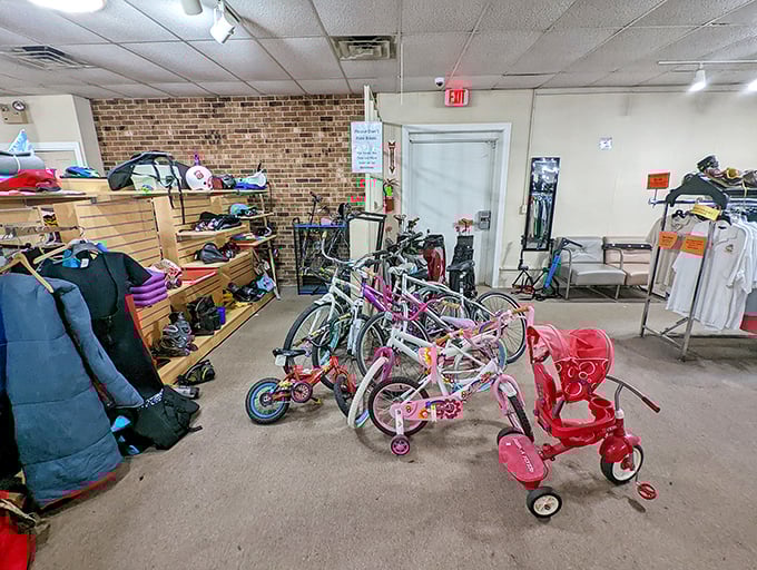 Bicycles of all sizes stand at attention, waiting for new adventures. That pink tricycle could be the vehicle for some lucky child's first taste of freedom.