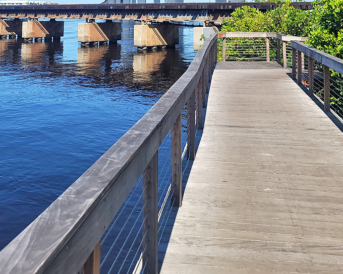 The riverwalk boardwalk &ndash; where pelicans dive-bomb for lunch, providing free entertainment that's better than anything on your streaming services.