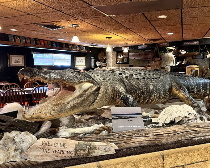 Nothing says "welcome to Florida" quite like a taxidermied alligator greeting you mid-meal. He's seen things, and so will you.