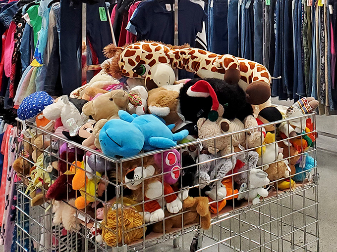 The island of misfit toys where every stuffed animal gets a second chance at being someone's bedtime buddy. That giraffe has stories to tell!