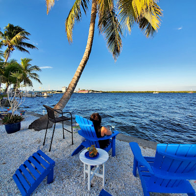 Blue Adirondack chairs under leaning palms&mdash;the universal signal that you've found a spot where relaxation isn't just suggested, it's mandatory.