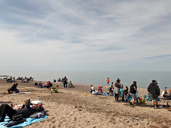 Beach blankets, folding chairs, and the shared understanding that any day by water beats a day at the office.