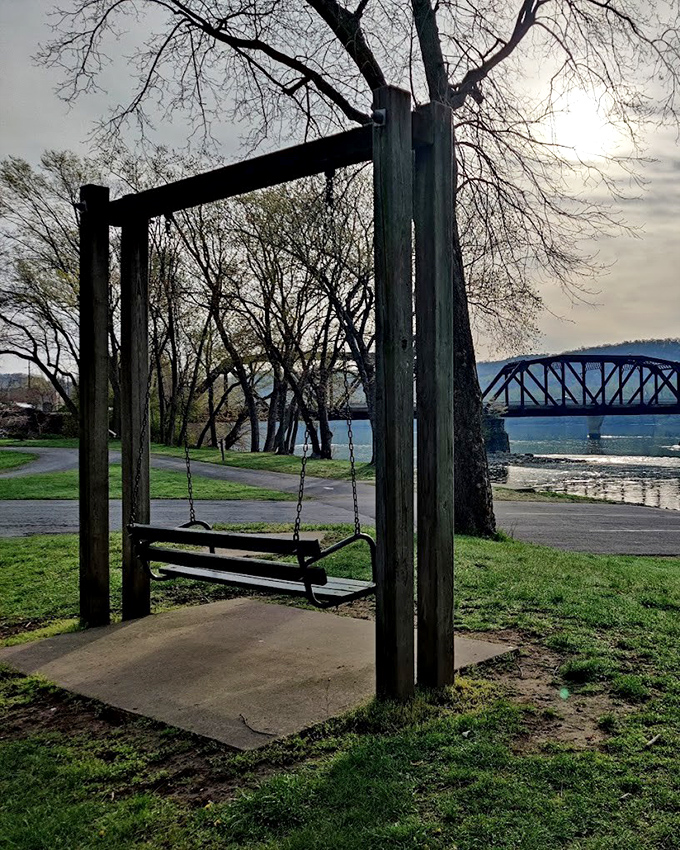 The riverside swing—where contemplation meets childhood joy. Somehow sitting here makes adult problems shrink faster than ice cream on a July afternoon.