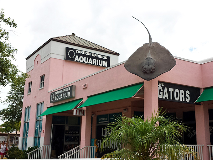 The Aquarium's giant stingray sculpture announces your arrival to a world of marine wonders, where Florida's underwater residents await your visit.