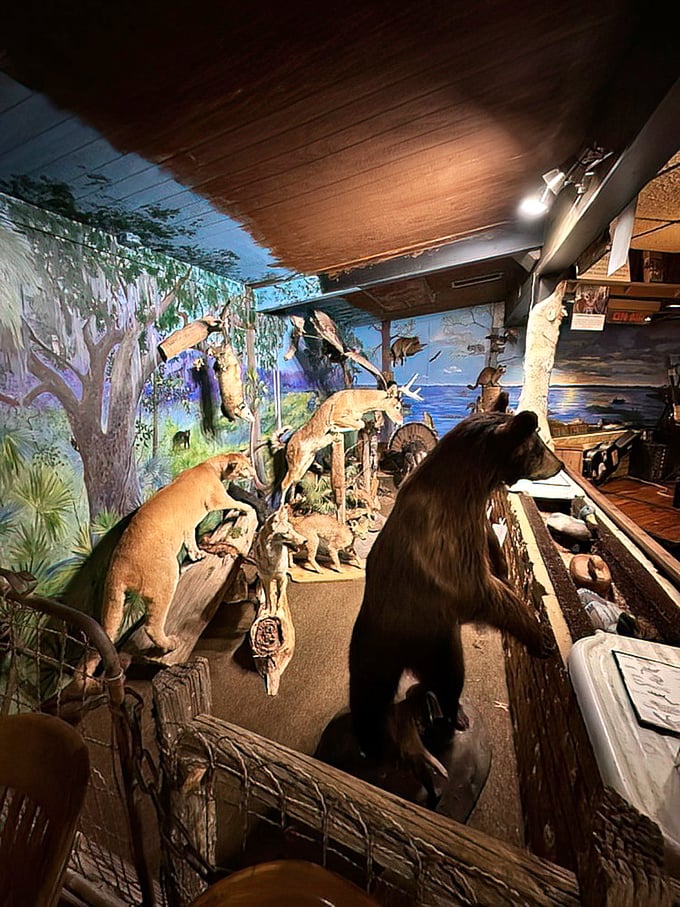 A natural history museum meets dining room in this corner where Florida's wildlife watches you enjoy their distant cousins.