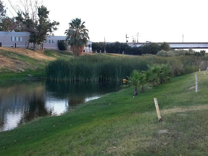 Where water meets reeds meets sky &ndash; Blythe's riverside habitats create perfect pockets for wildlife watching and quiet contemplation.