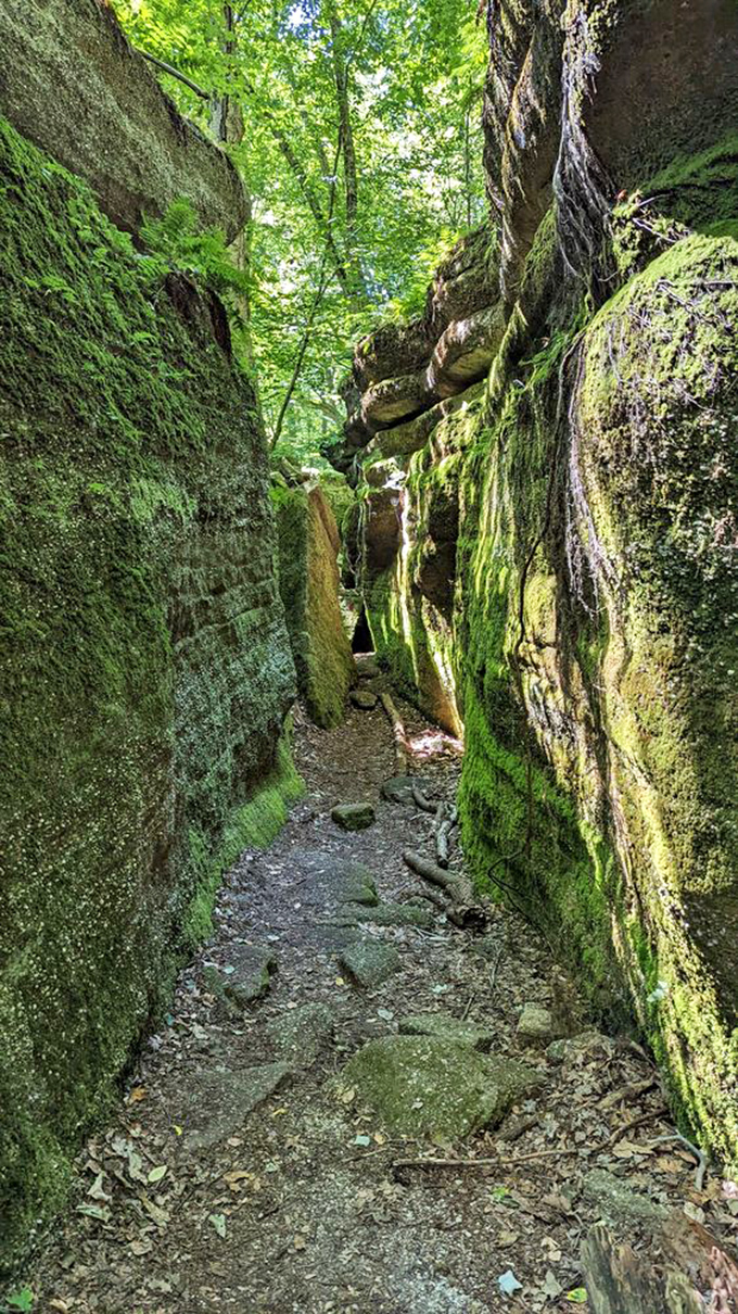 The park's famous narrow passages create dramatic light effects. Sunbeams slice through openings above, spotlighting your adventure like nature's own theatrical production. 
