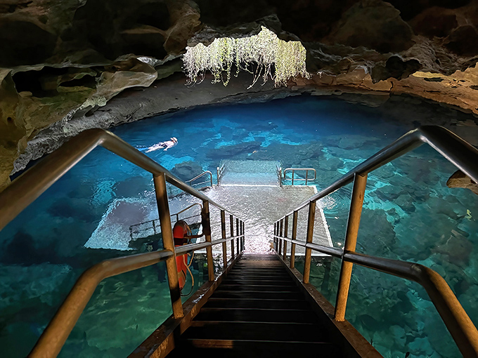 Looking down into 33 million years of Florida history. The platform invites you to take the plunge into prehistoric waters.