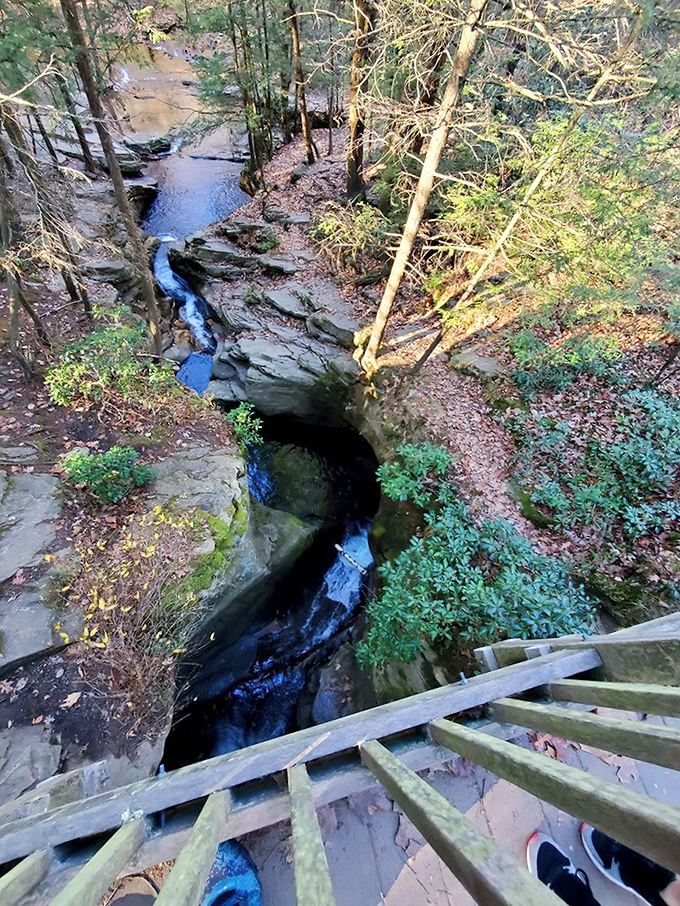 Looking down into nature's plumbing system—where water has carved a perfect channel through resistant bedrock over millennia.