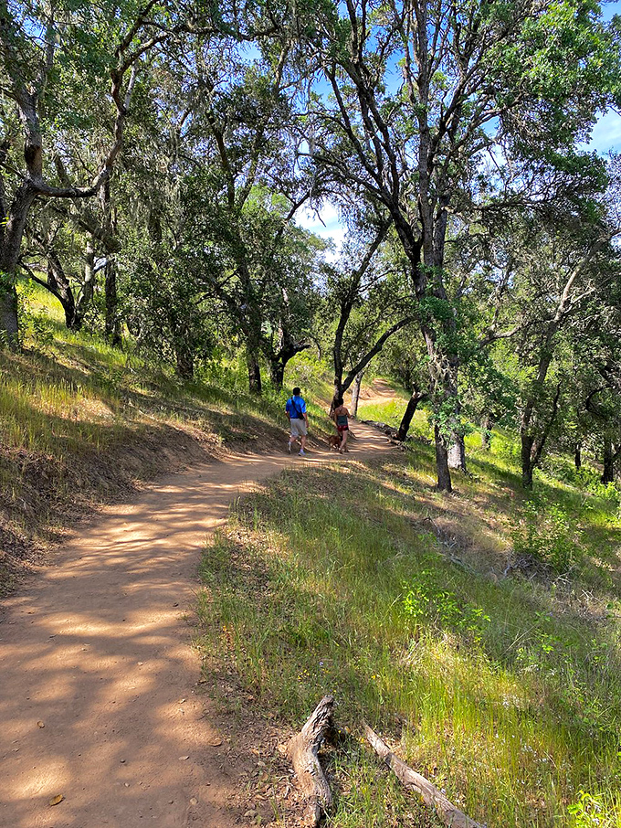 Oak-dappled trails wind through Three Bridges Oak Preserve, offering hikers of all abilities a chance to commune with California's iconic landscape.