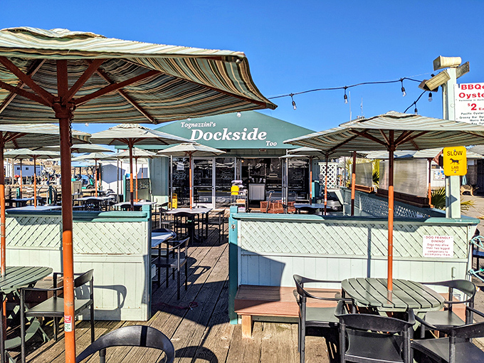Tognazzini's Dockside serves harbor-fresh seafood with million-dollar views that never get old or pretentious.