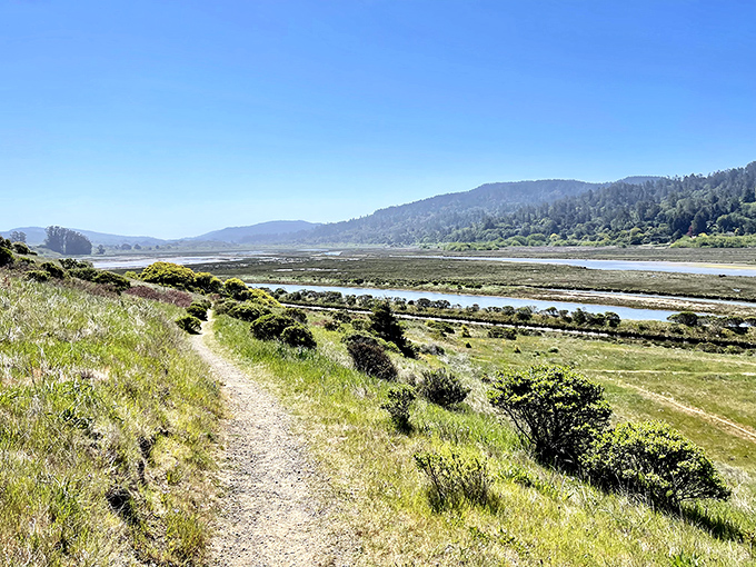 Hiking trails meander through golden meadows toward the shimmering bay, proving that the best things in life require a bit of legwork.