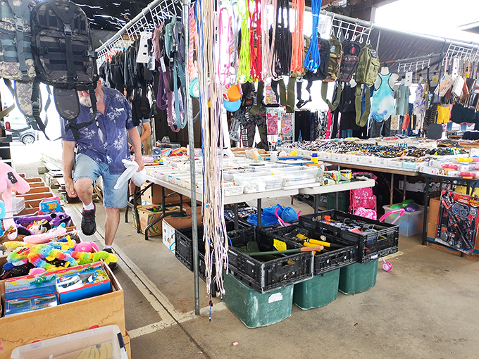 A rainbow of possibilities dangles from display racks, where shoppers can find everything from pool noodles to pet supplies in this technicolor treasure hunt.