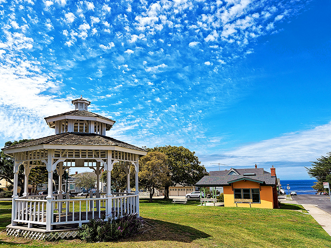 A white gazebo stands ready for impromptu proposals, family photos, and those moments when you just need to sit somewhere prettier than your living room.