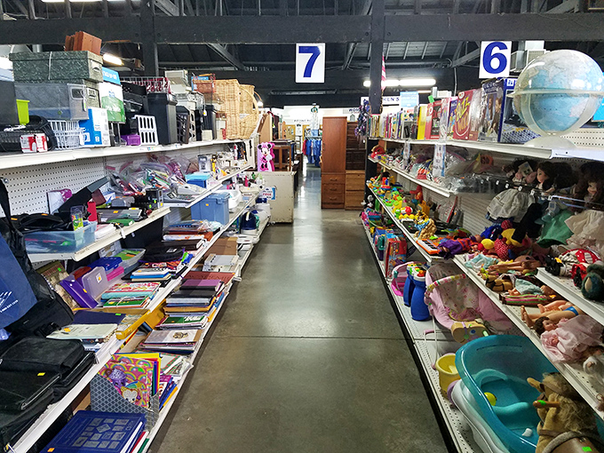 Forgotten toys stand at attention, ready for a second act in a new child's imagination or an adult's nostalgic display shelf. 