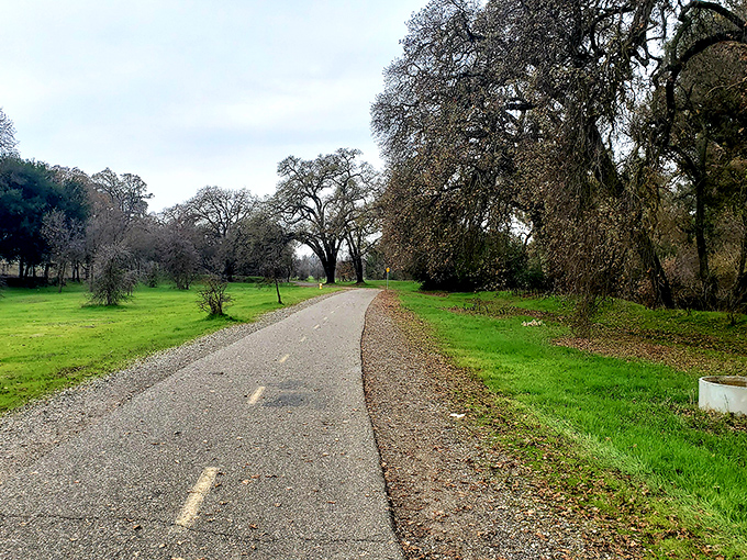 Modesto's walking trails wind through oak-studded landscapes alongside peaceful waterways. Like a meditation app come to life, but with better scenery.