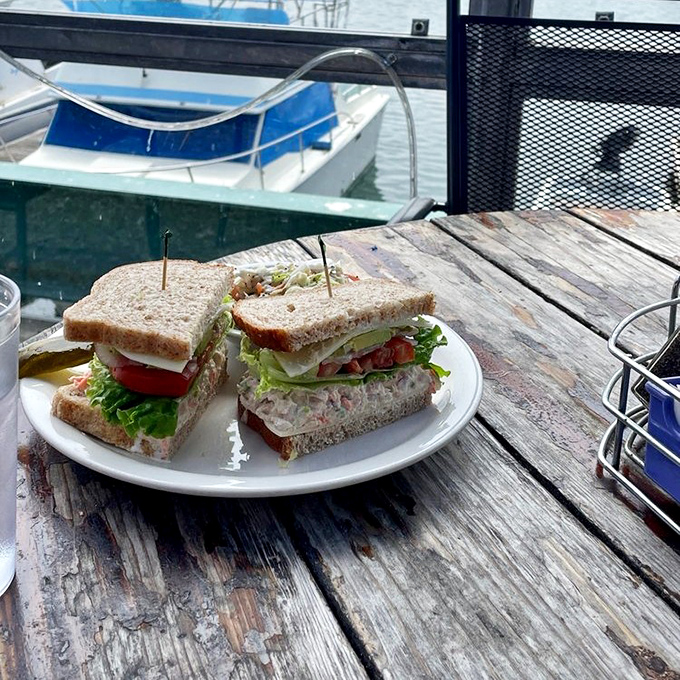 The perfect tuna sandwich doesn't exi— Oh wait, here it is, posing nonchalantly on weathered dock wood like it's no big deal.