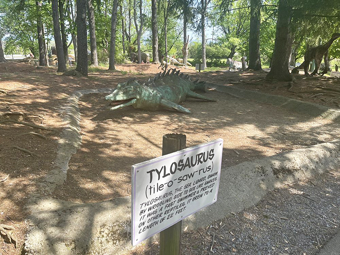 The Tylosaurus sign offers pronunciation help, because nothing ruins a dinosaur experience like mispronouncing your favorite ancient reptile.