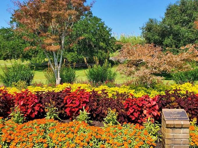 A rainbow tapestry of blooms creates waves of color across the landscape, proving Mother Nature was the original color theory expert.