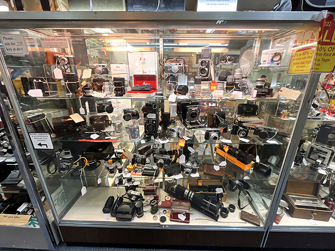 A graveyard of cameras that captured weddings, wars, and everything between. Each one a time machine with a viewfinder.