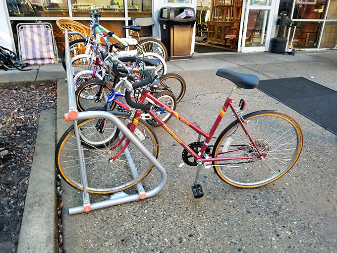 Vintage bikes lined up outside like eager puppies waiting for adoption&mdash;each with stories of adventures past and future.