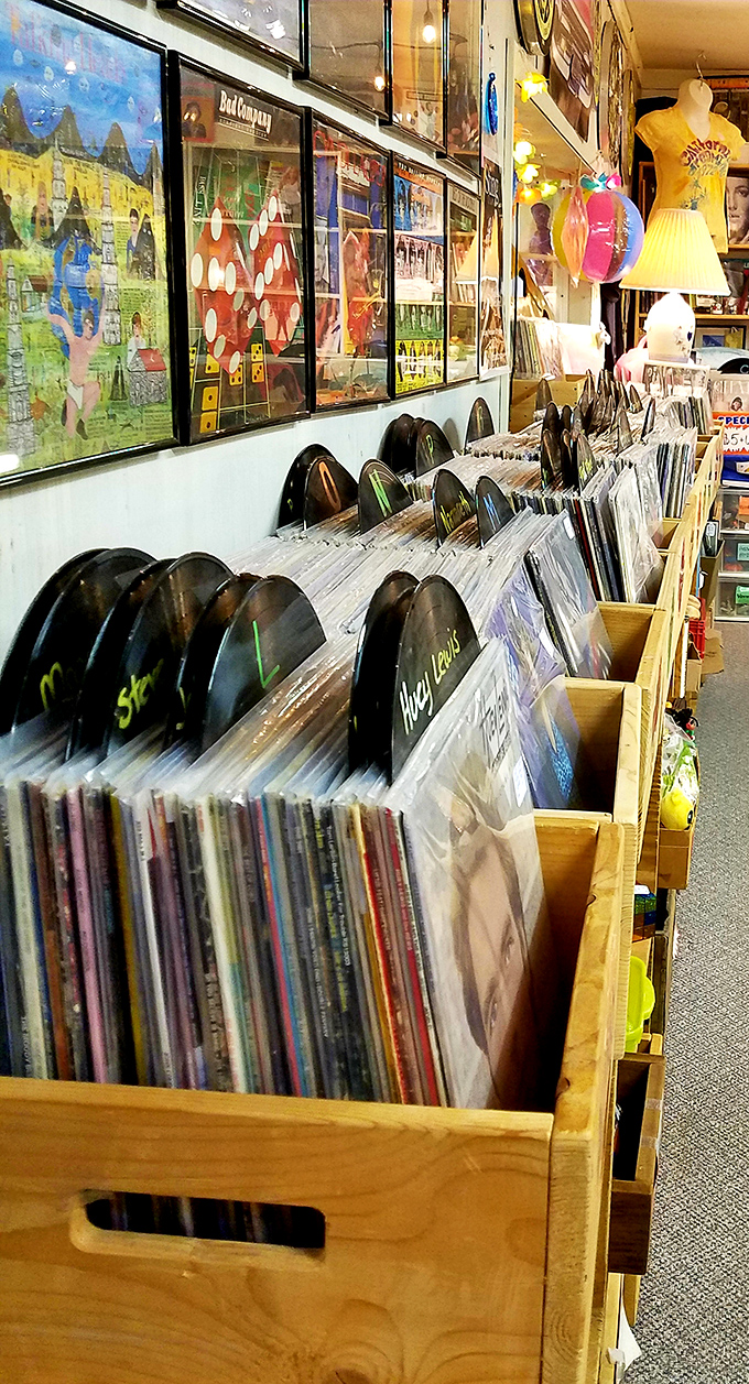 Vinyl paradise for record collectors! These carefully organized albums aren't just music&mdash;they're time machines waiting to transport you back decades.