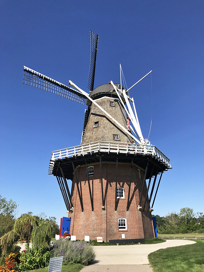 De Zwaan Windmill isn't just for show—this authentic Dutch transplant still grinds grain the old-fashioned way, no electricity bill required.