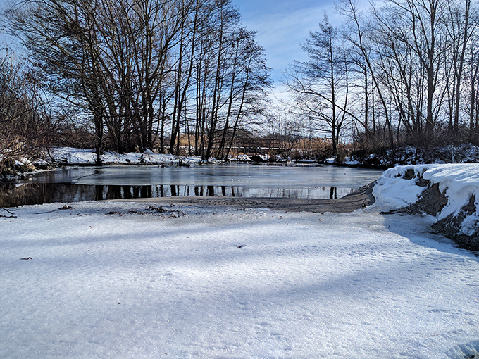 Winter's quiet transformation turns ordinary ponds into glistening mirrors. Even in the cold, Geneva State Park finds ways to enchant.