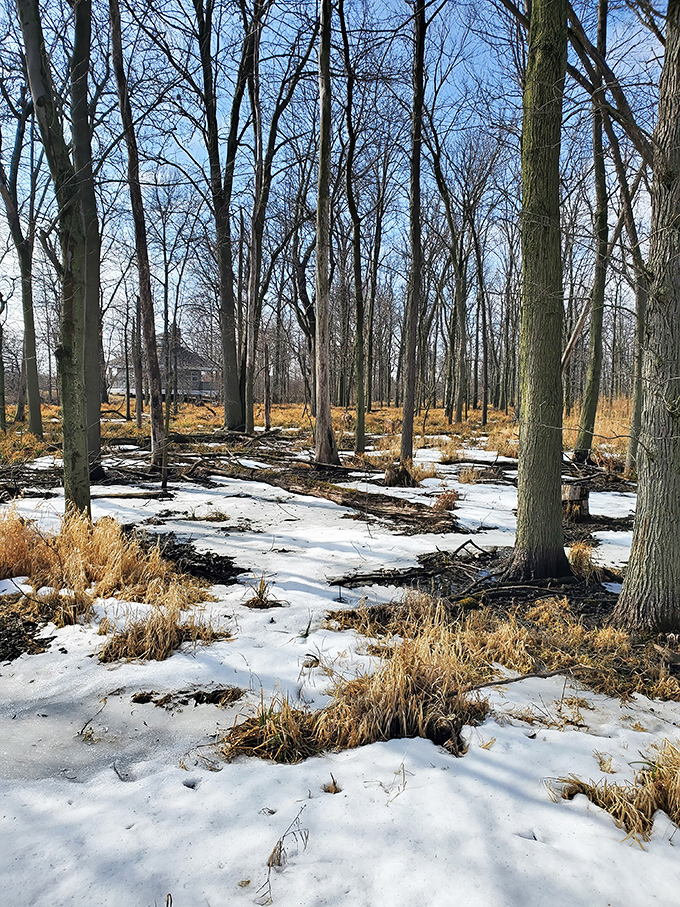 Winter transforms the park into a Robert Frost poem come to life&mdash;minus the horse, plus the occasional cross-country skier questioning their life choices.