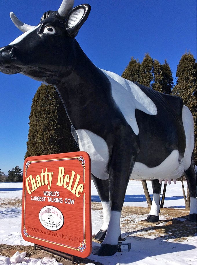 Winter transforms Chatty Belle into a snow queen, proving that Wisconsin's most famous cow doesn't hibernate when temperatures drop.