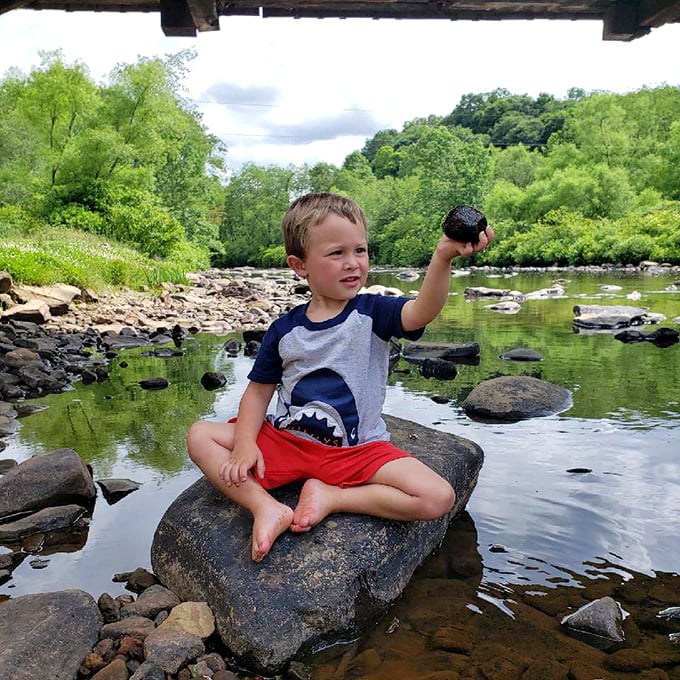 The creek's shallow waters invite exploration, proving that sometimes the best attractions are the natural ones beneath the man-made wonders.