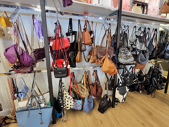 Handbag heaven isn't just for those with trust funds. This colorful collection of purses proves style can be both accessible and affordable.