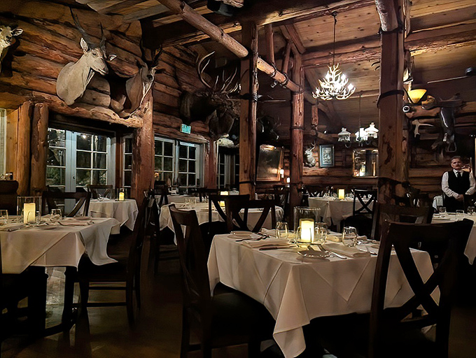 Dining room ambiance that whispers "special occasion" while the taxidermy silently judges your wine selection.