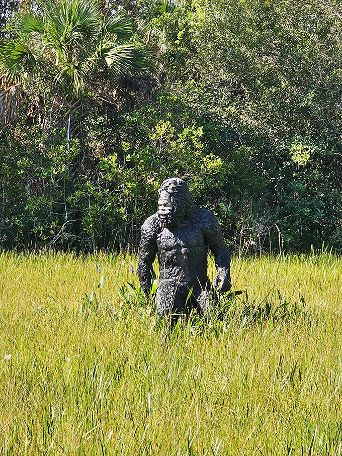"Just passing through the sawgrass, don't mind me." This Skunk Ape statue in its natural habitat gives visitors a taste of what a real encounter might look like.