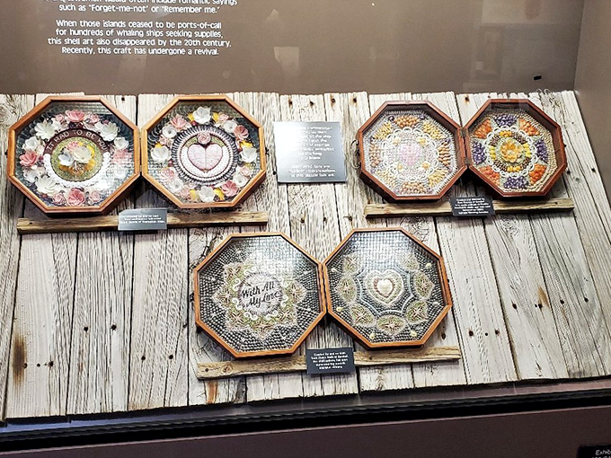 These intricate shell mosaics demonstrate the artistic potential of ocean treasures, transforming beach finds into heirloom-worthy creations.