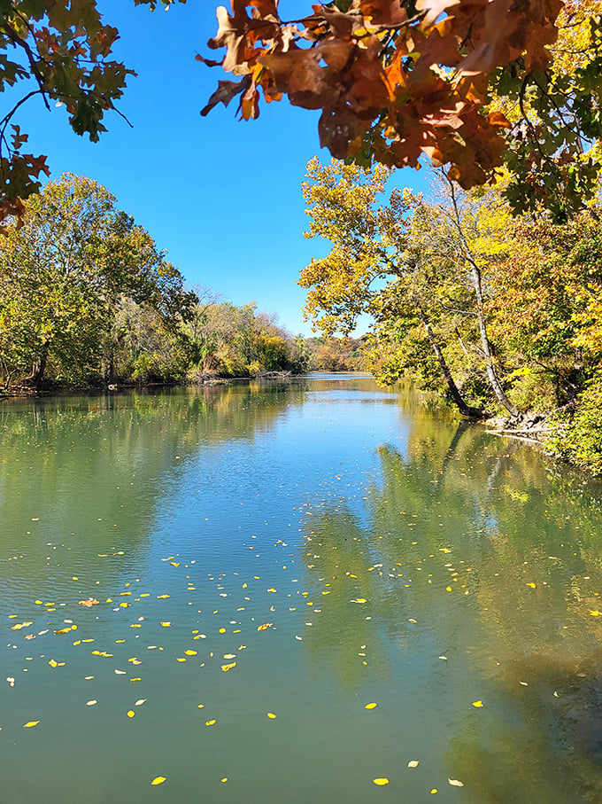 Fall transforms Shoal Creek into a painting come to life. Those golden leaves are Mother Nature's confetti celebrating another season.