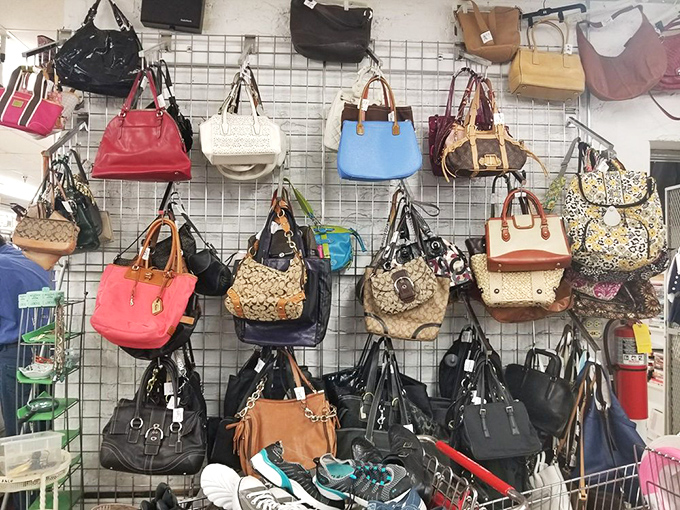 The handbag wall showcases everything from practical totes to designer-inspired splurges, each with stories from previous shopping expeditions tucked inside.