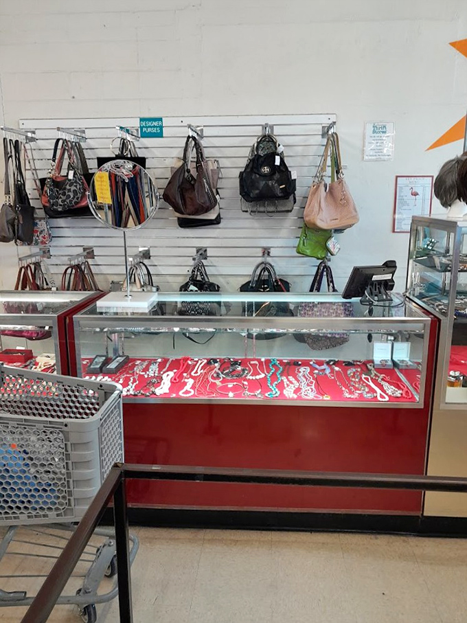 Designer purses and everyday handbags hang like ripe fruit, ready to be plucked by savvy shoppers. The jewelry case below sparkles with secondhand treasures.