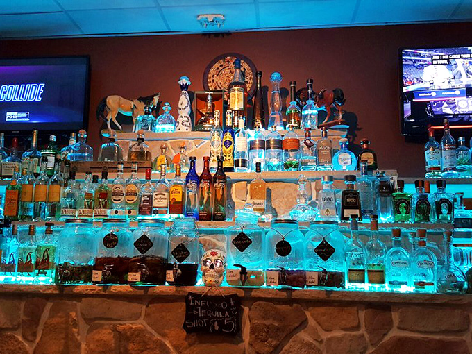The tequila display glows like a blue-hued shrine to agave spirits. This isn't just a bar&mdash;it's a library of liquid happiness with bottles as the books.