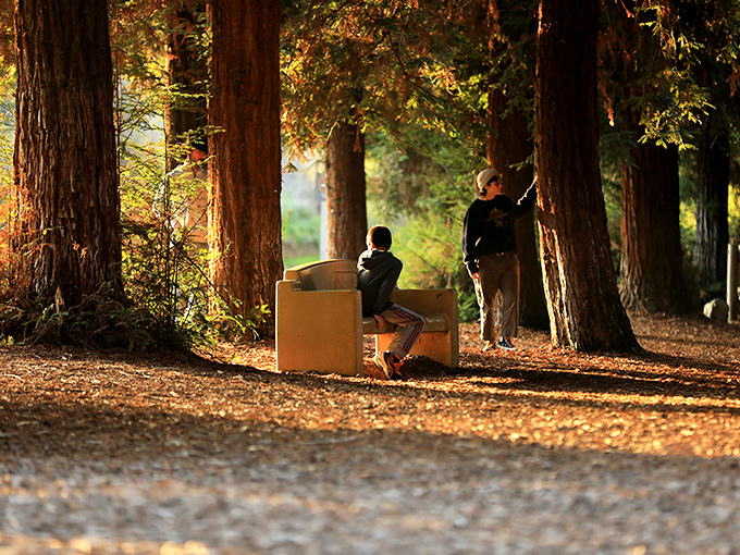 A moment of contemplation awaits on this simple bench. Some of life's biggest thoughts happen in the quietest places.