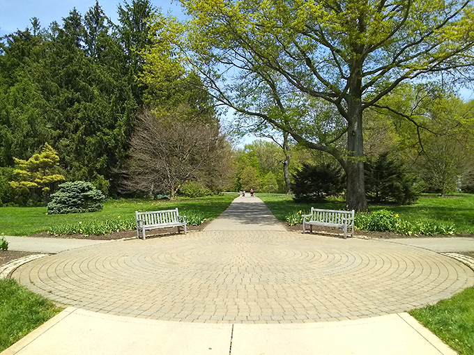 The perfect spot for contemplation. This bench isn't just a place to rest&mdash;it's front-row seating to nature's greatest show.