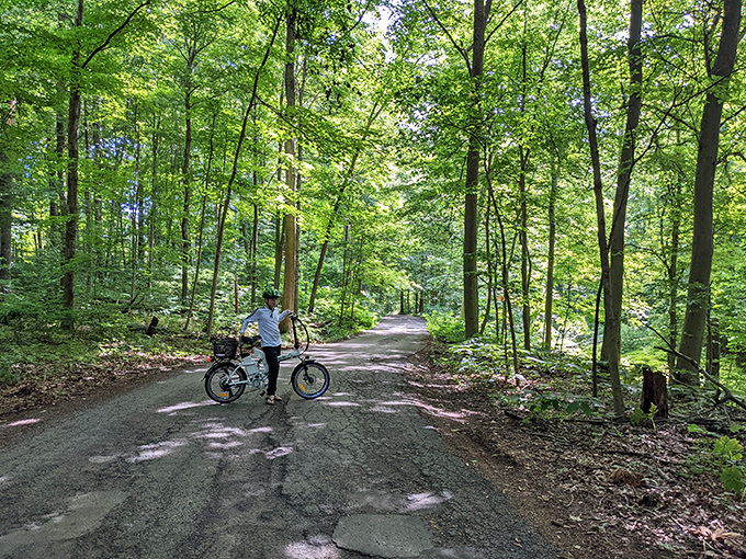 Forest cycling at its finest. These shaded pathways offer the perfect combination of exercise and woodland therapy.