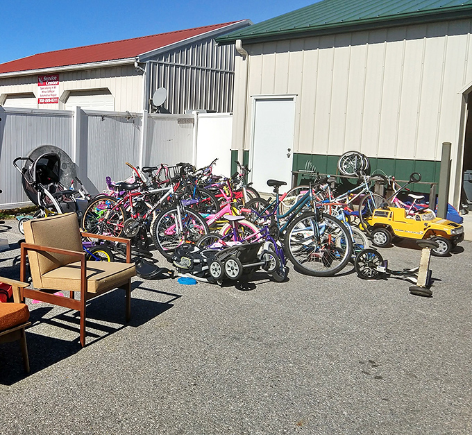 Bicycle bonanza in the outdoor section. These wheels have stories to tell—from first rides without training wheels to scenic Delaware beach cruises.