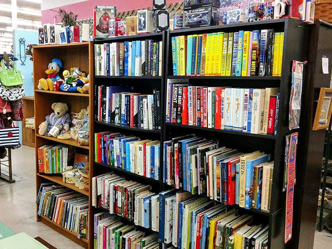 Before Kindle, there were these magical paper contraptions. This literary corner houses stories waiting for their next chapter with you.